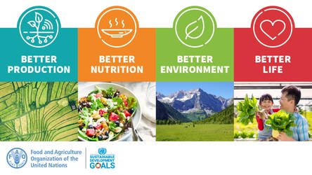 FAO in Namibia | Food and Agriculture Organization of the United Nations