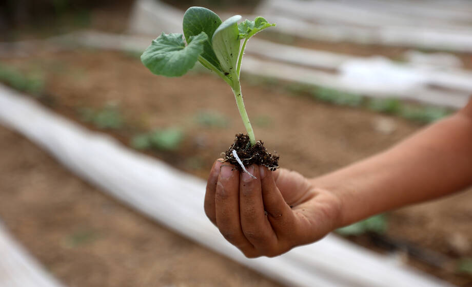 WASAG – The Global Framework on Water Scarcity in Agriculture | Food ...