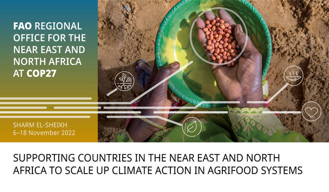 FAO Regional Office for Near East and North Africa | Food and ...