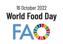 FAO in Namibia | Food and Agriculture Organization of the United Nations
