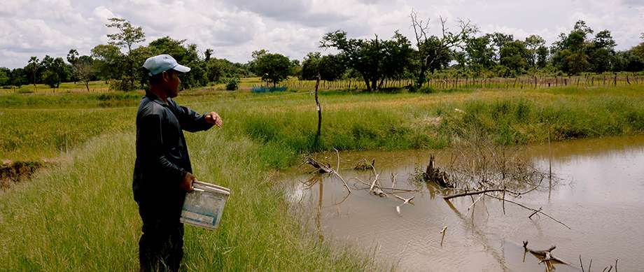 Approach | Climate Adaptation in Wetland Areas in Lao PDR (CAWA) | Food ...