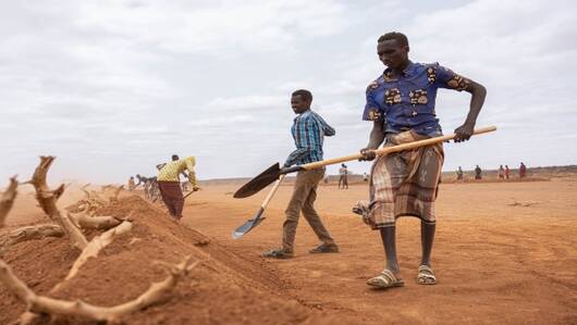 FAO in Somalia | Food and Agriculture Organization of the United Nations