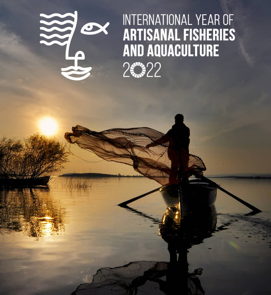 FAO Liaison Office in New York | Food and Agriculture Organization of ...