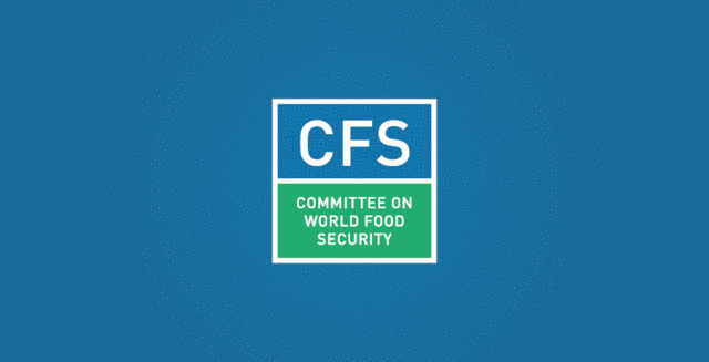 CFS: Making a difference in food security and nutrition