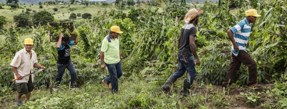 Small Family Farms - Publications | Family Farming Knowledge Platform ...