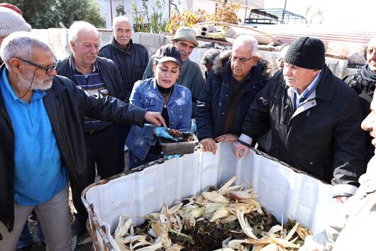 FAO in Syria | Food and Agriculture Organization of the United Nations