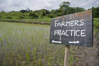 Plant Production and Protection Division: Capacity Building / Farmer ...