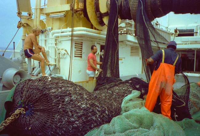 The first R/V Dr Fridtjof Nansen | EAF-Nansen Programme | Food and ...