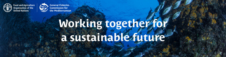 General Fisheries Commission for the Mediterranean - GFCM | Food and ...