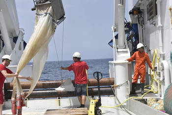 Everything you ever wanted to know about plankton and microplastics ...