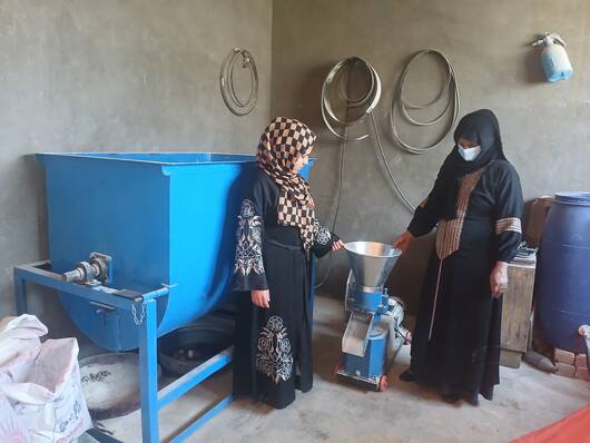 FAO in Afghanistan | Food and Agriculture Organization of the United ...