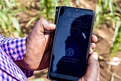 FAO Regional Office for Asia and the Pacific | Food and Agriculture ...