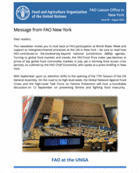 FAO Liaison Office in New York | Food and Agriculture Organization of ...