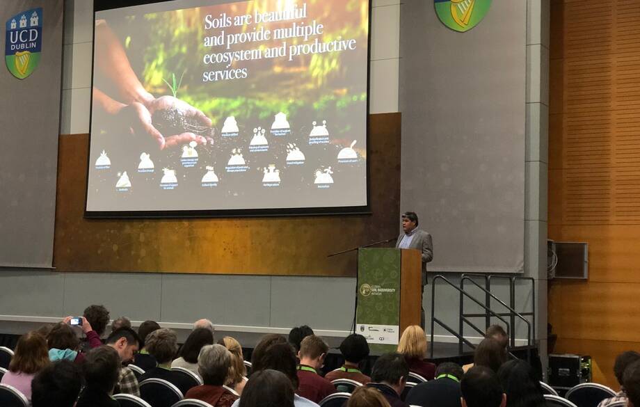 Global Soil Partnership | Food and Agriculture Organization of the ...