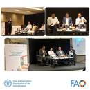 News | FAO in India | Food and Agriculture Organization of the United ...