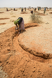 UNCCD Collaboration on DLDD and LDN | Land & Water | Food and ...