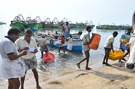fishermen | FAO in India | Food and Agriculture Organization of the ...