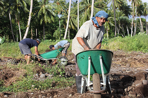 Mejorar la productividad y asegurar sistemas de agricultura sostenible ...