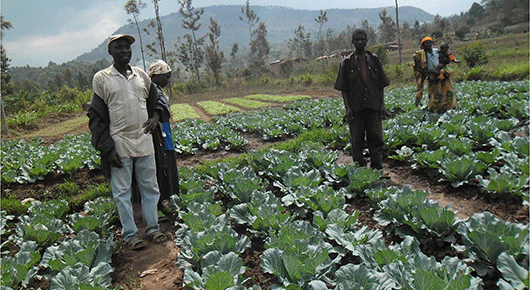 Burundi: incorporar integración, sostenibilidad y eficiencia en la ...