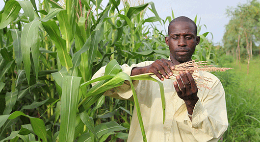 El incremento de las capacidades de los agricultores beneficia a las ...