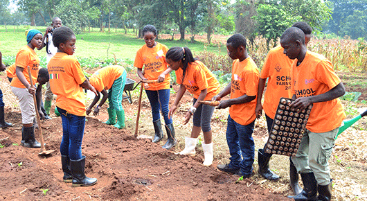 Empowering Ugandan students through school farm camps | FAO | Food and ...
