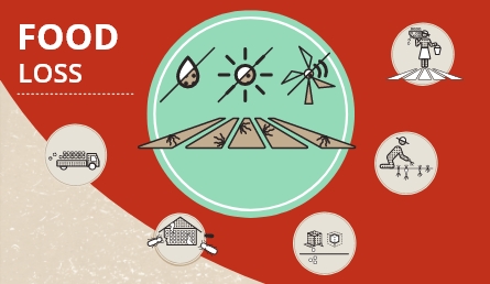 Technical Platform on the Measurement and Reduction of Food Loss and ...
