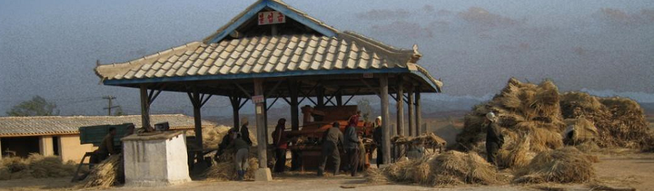 grain | FAO in the Democratic People's Republic of Korea | Food and ...