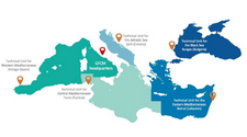 The 70-year journey of the GFCM | General Fisheries Commission for the ...