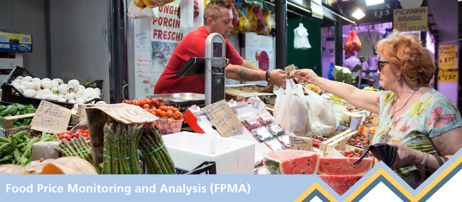 GIEWS - Global Information and Early Warning System on Food and ...