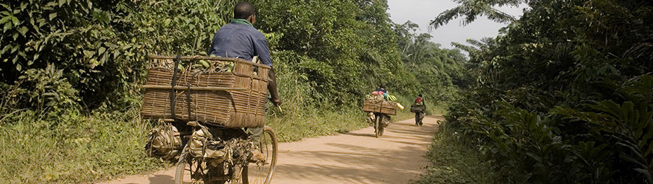 Rural transport as a service | Sustainable Agricultural Mechanization ...