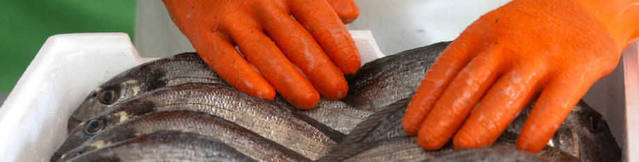 Safety and quality of aquaculture products | General Fisheries ...