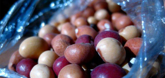 Le pois bambara | FAO | Organisation des Nations Unies pour l ...