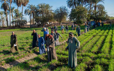 Resources | FAO in Egypt | Food and Agriculture Organization of the ...