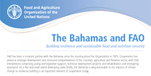 FAO in Jamaica, Bahamas and Belize | Food and Agriculture Organization ...