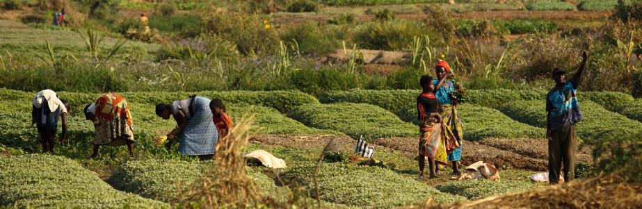 Democratic Republic of Congo | Mitigation of Climate Change in ...