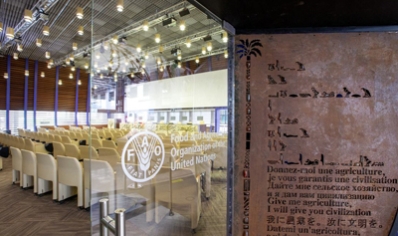 Welcoming you to FAO | Food and Agriculture Organization of the United ...