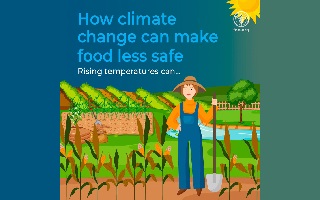 Food safety and quality | Food and Agriculture Organization of the ...