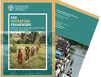 FAO and migration | FAO | Food and Agriculture Organization of the ...