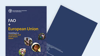 Resource Mobilization | Food and Agriculture Organization of the United ...