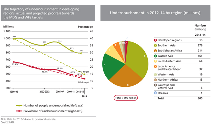 The State of Food Insecurity in the World 2015 | FAO | Food and ...