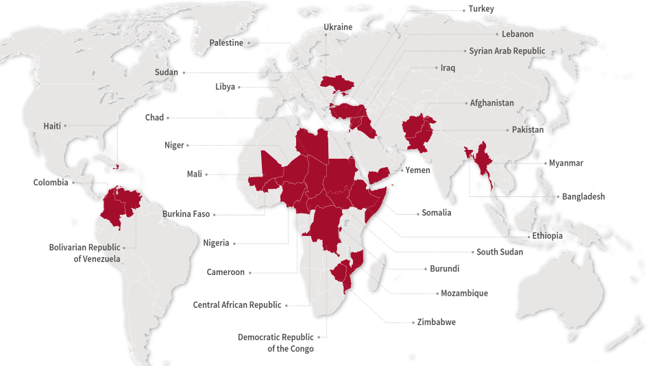 FAO in the 2021 humanitarian appeals : FAO in Emergencies