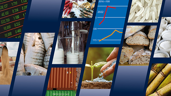 Highlights archive | FAO | Food and Agriculture Organization of the ...