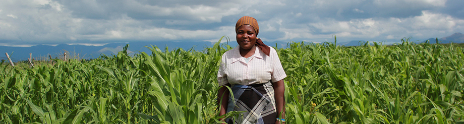 Conservation Agriculture, a new technology linking generations | FAO ...