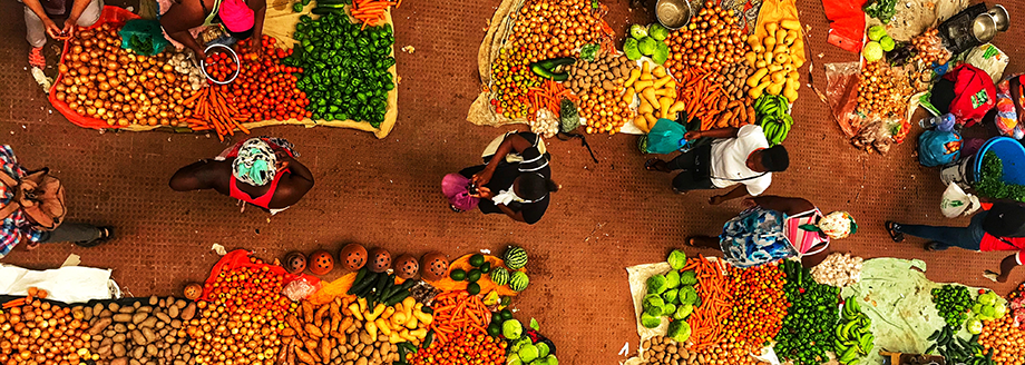 Sustainable value chains for nutrition and gender equality | Nutrition ...