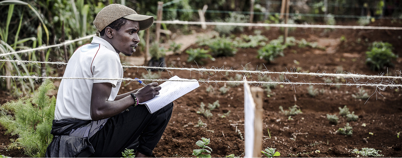 重要文档 | FAO | 联合国粮食及 农业组织