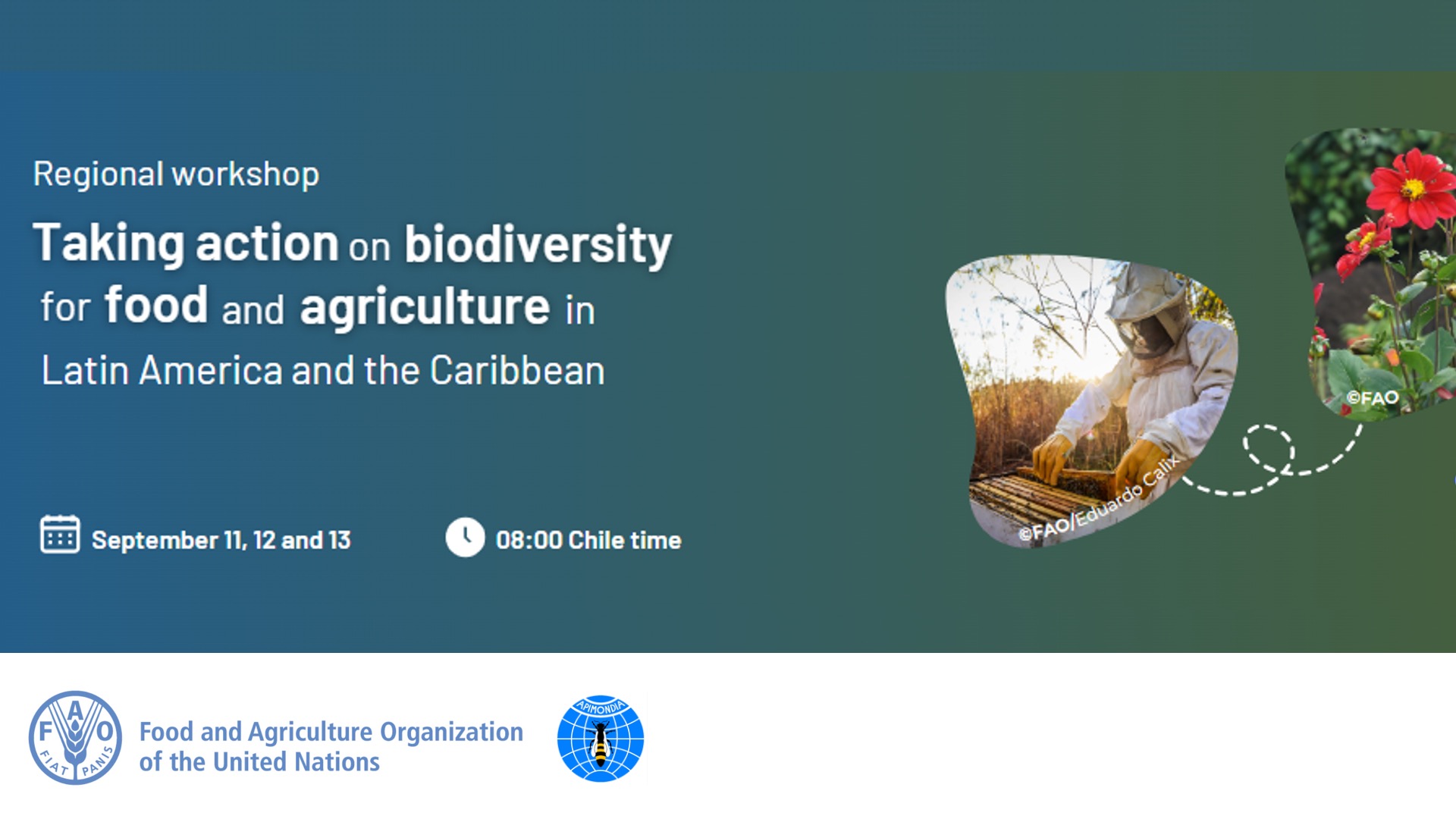 FAO Regional Office for Latin America and the Caribbean | Food and ...