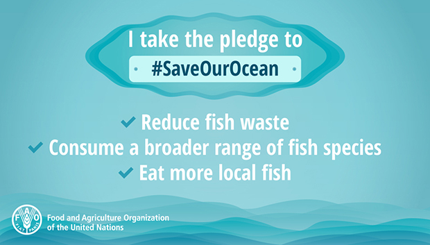 Calls to action | FAO at the Ocean Conference | Food and Agriculture ...