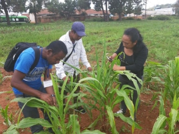 Trainers receive training on best use of FAMEWS in Mozambique and ...