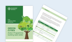 Green Cities Initiative | FAO | Food and Agriculture Organization of ...