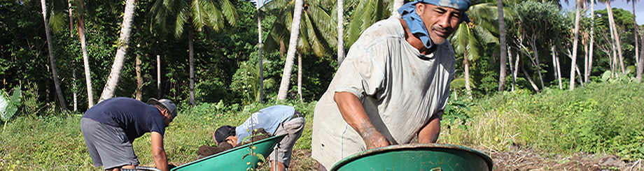 Improving productivity and ensuring sustainable agricultural systems in ...